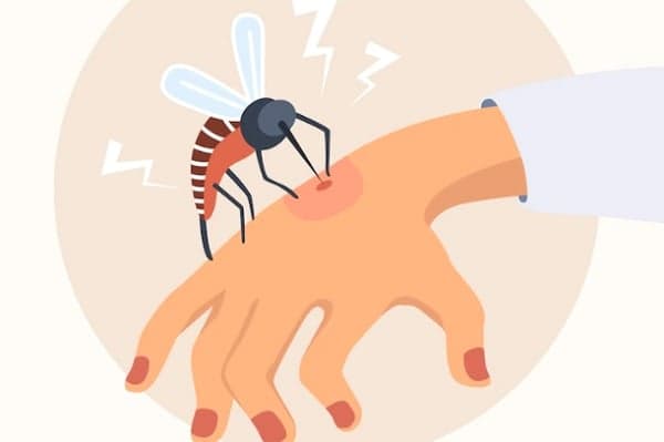 7 Contoh Simbiosis Parasitisme yang Sering Terjadi di Sekitar Kita - News+ on RCTI+