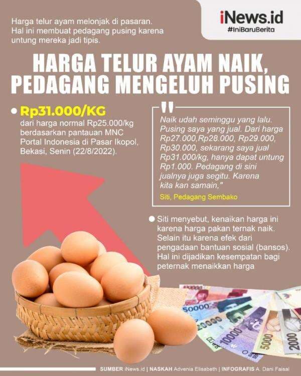 Infografis Harga Telur Ayam Naik, Pedagang Mengeluh Pusing | News+ on RCTI+