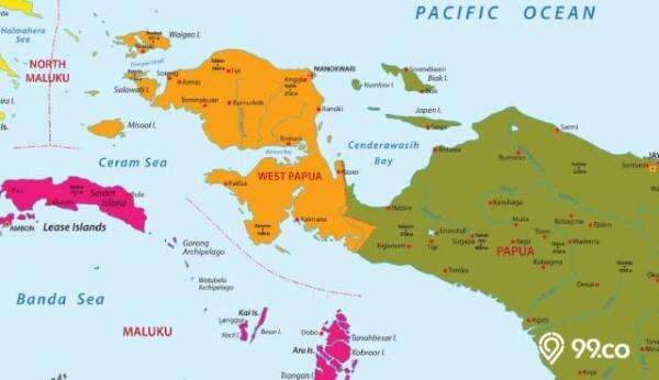 Kondisi Geografis Pulau Papua dan Maluku Berdasarkan Peta Luas, Batas ...